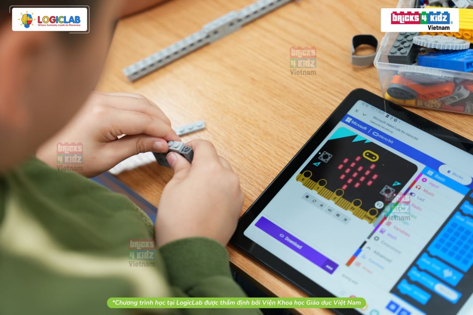Khóa Học STEAM Lập Trình Tại Logic Lab: Hành Trình Giúp Trẻ Phát Triển ...